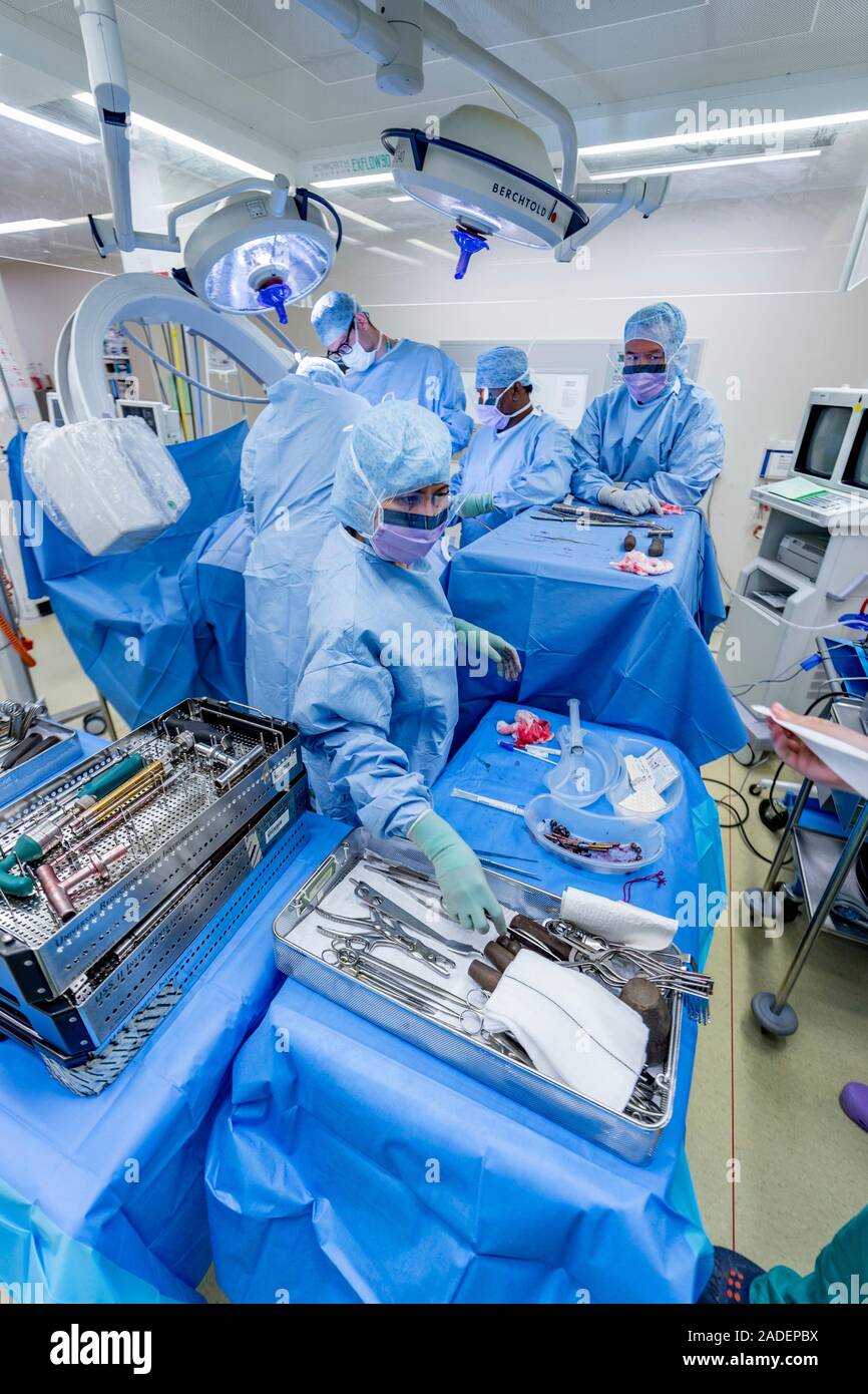MODEL RELEASED. Spinal surgery. Member of a surgical team (foreground ...