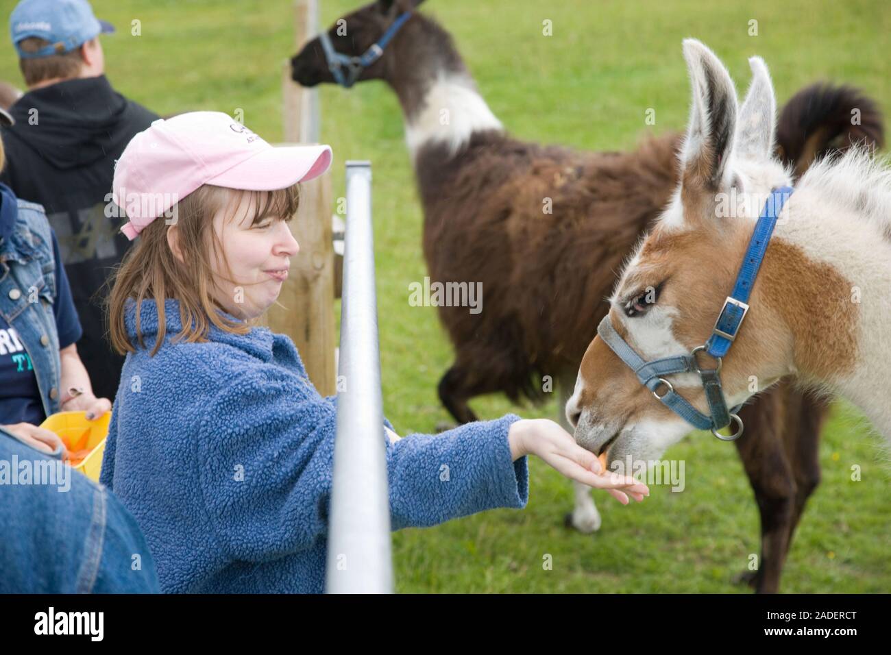 Young woman with learning disabilities on a trip to an animal centre ...