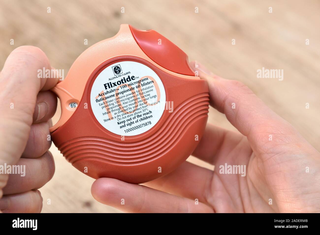 MODEL RELEASED. Accuhaler hand-held disposable asthma inhaler being ...