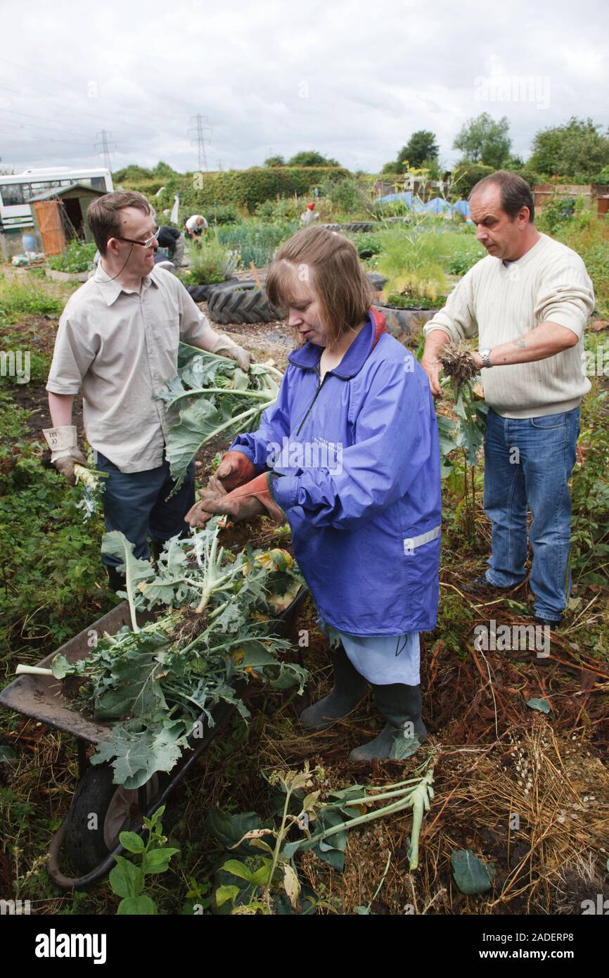 People with learning disability with care staff working on allotment ...