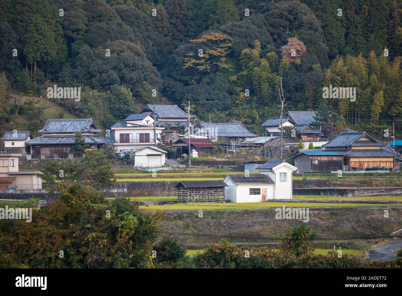 Asian rural countryside woods road hi-res stock photography and images ...