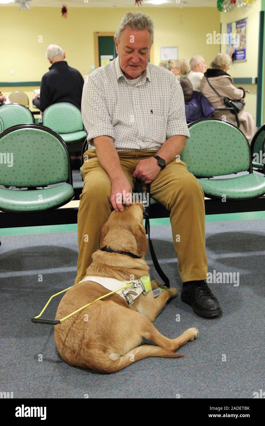 Patient with guide dog in waiting room of eye clinic at QMC hospital ...