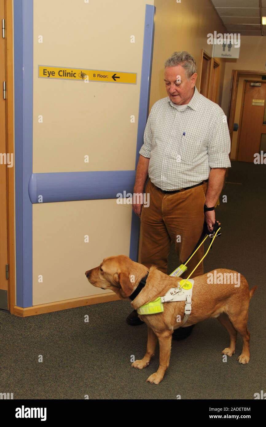 Patient with guide dog in corridor of eye clinic at QMC hospital ...