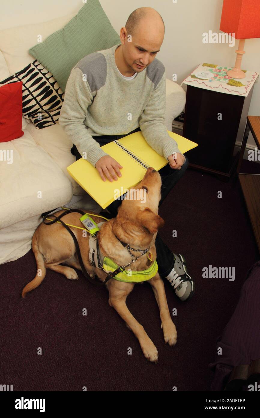 Man with guide dog reading a braille document Stock Photo - Alamy