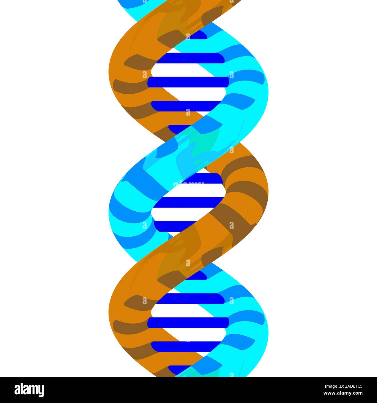 This image may not be used in educational posters Computer illustration ...