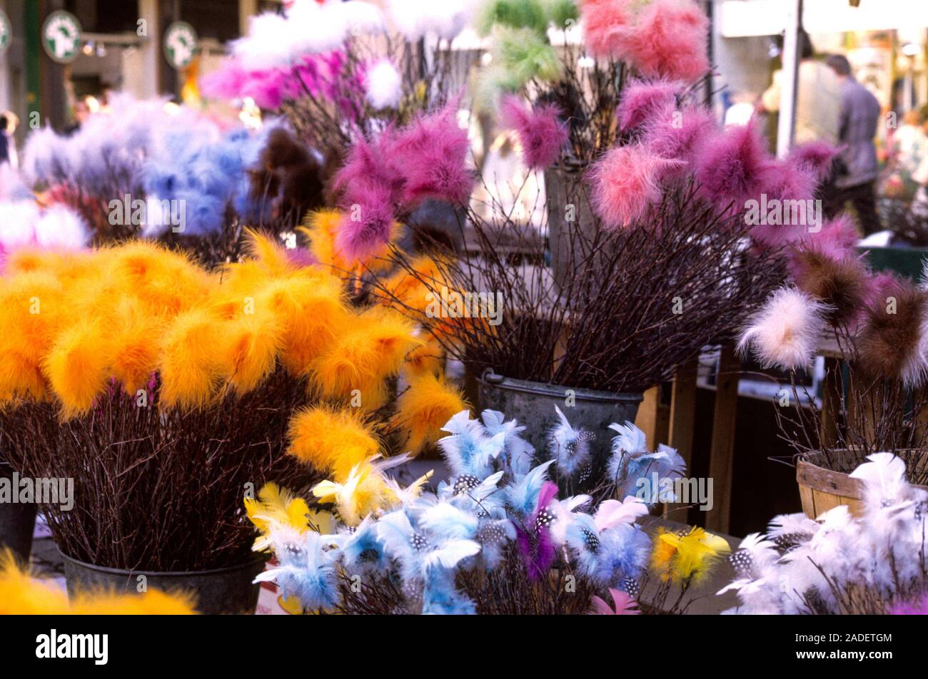 Easter twiggs with its cloloured feather Stock Photo - Alamy