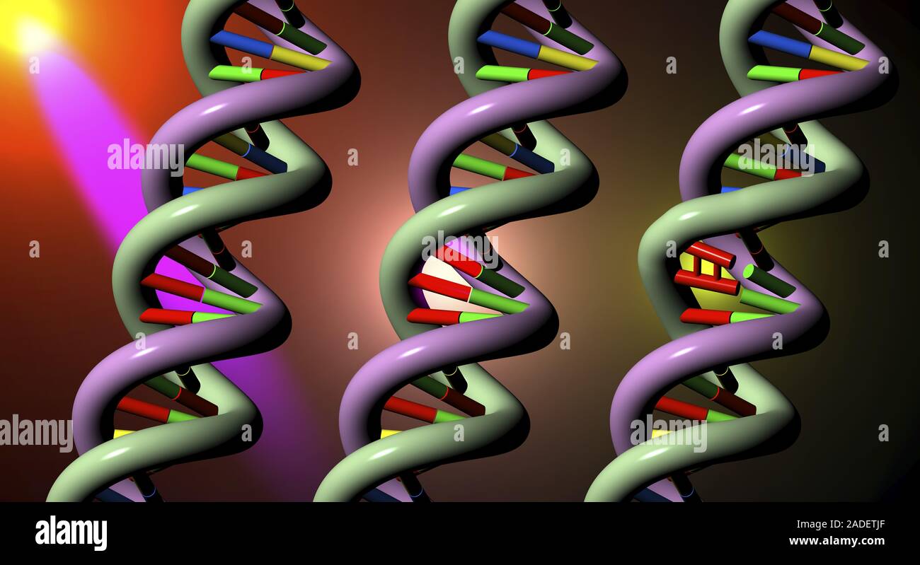 This image may not be used in educational posters Computer illustration ...