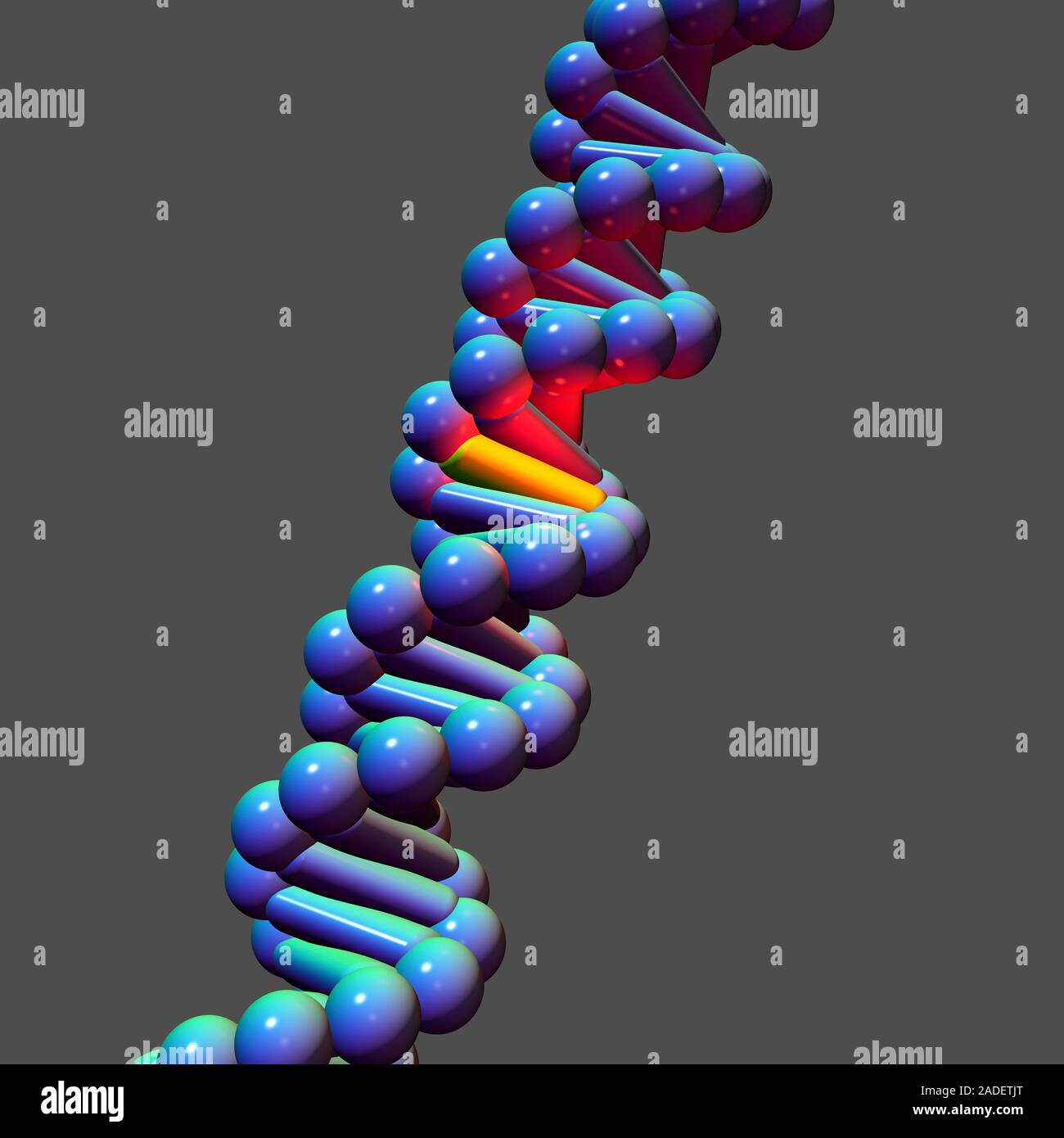 This image may not be used in educational posters DNA mutation ...