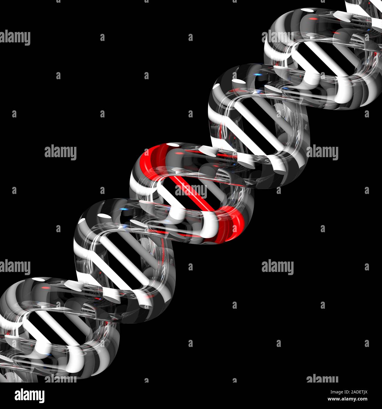 This image may not be used in educational posters DNA mutation ...