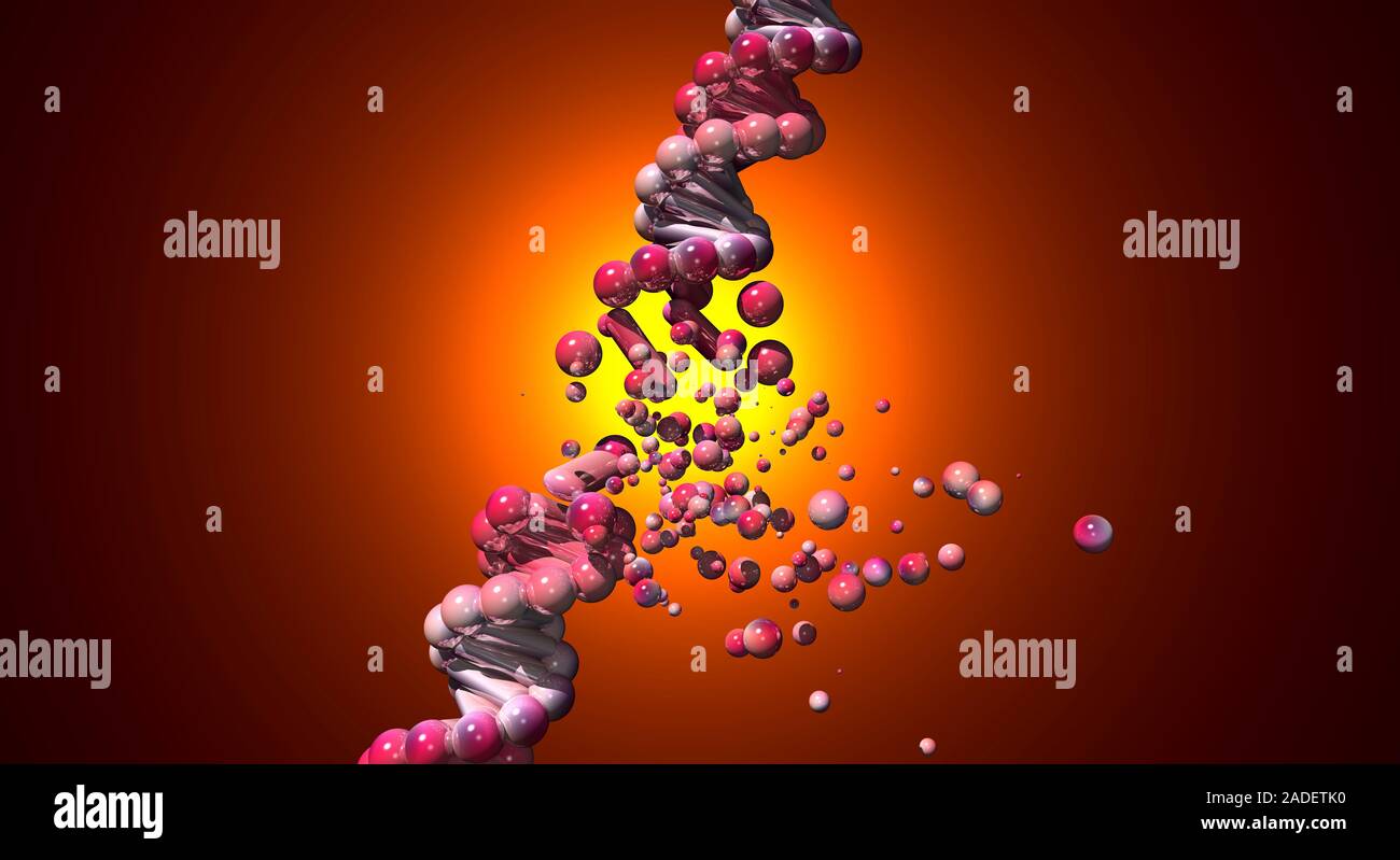 This image may not be used in educational posters DNA damage ...