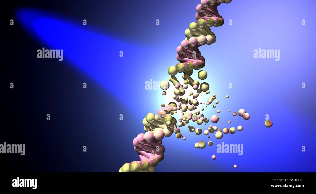 This image may not be used in educational posters DNA damage ...
