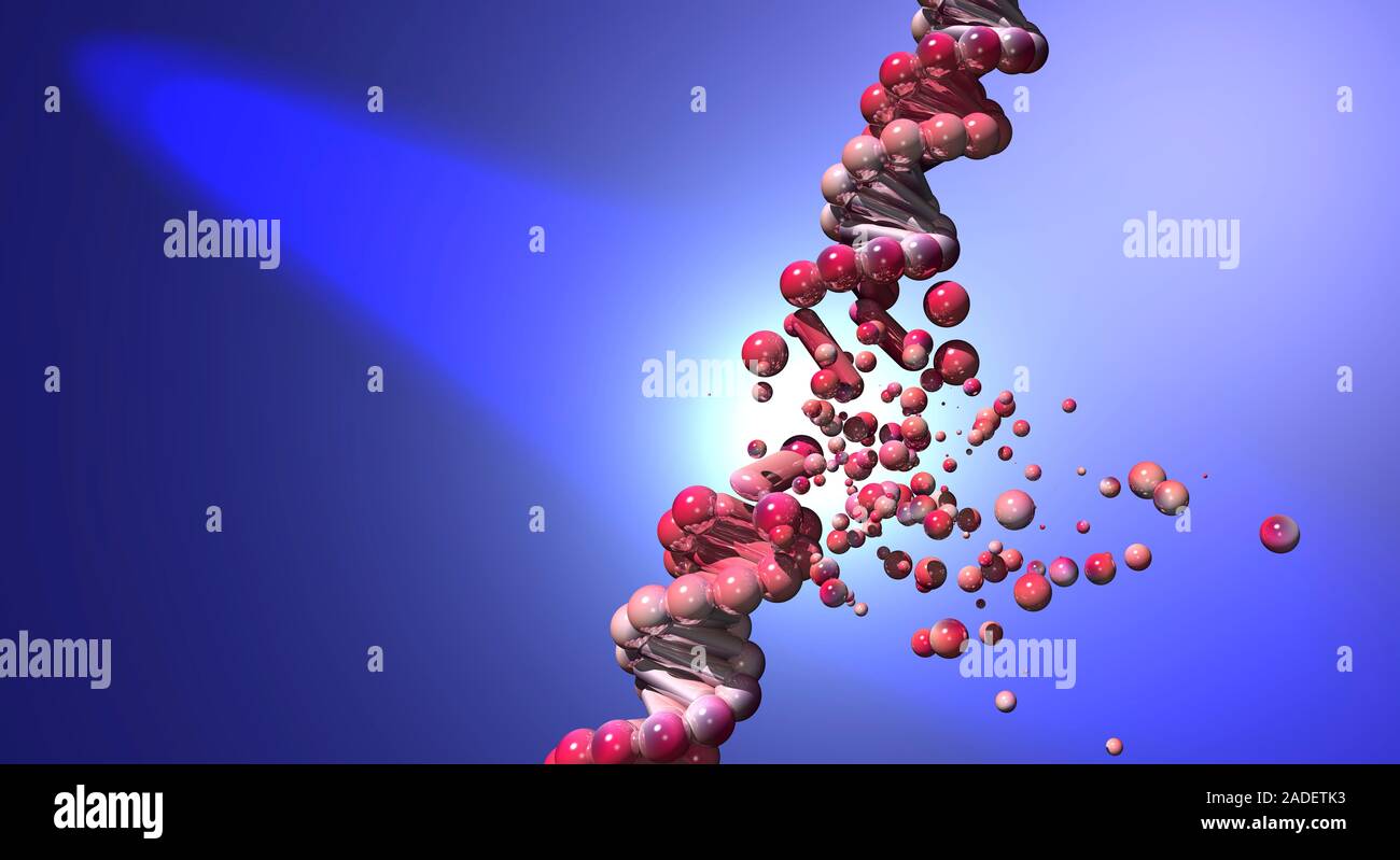 This image may not be used in educational posters DNA damage ...