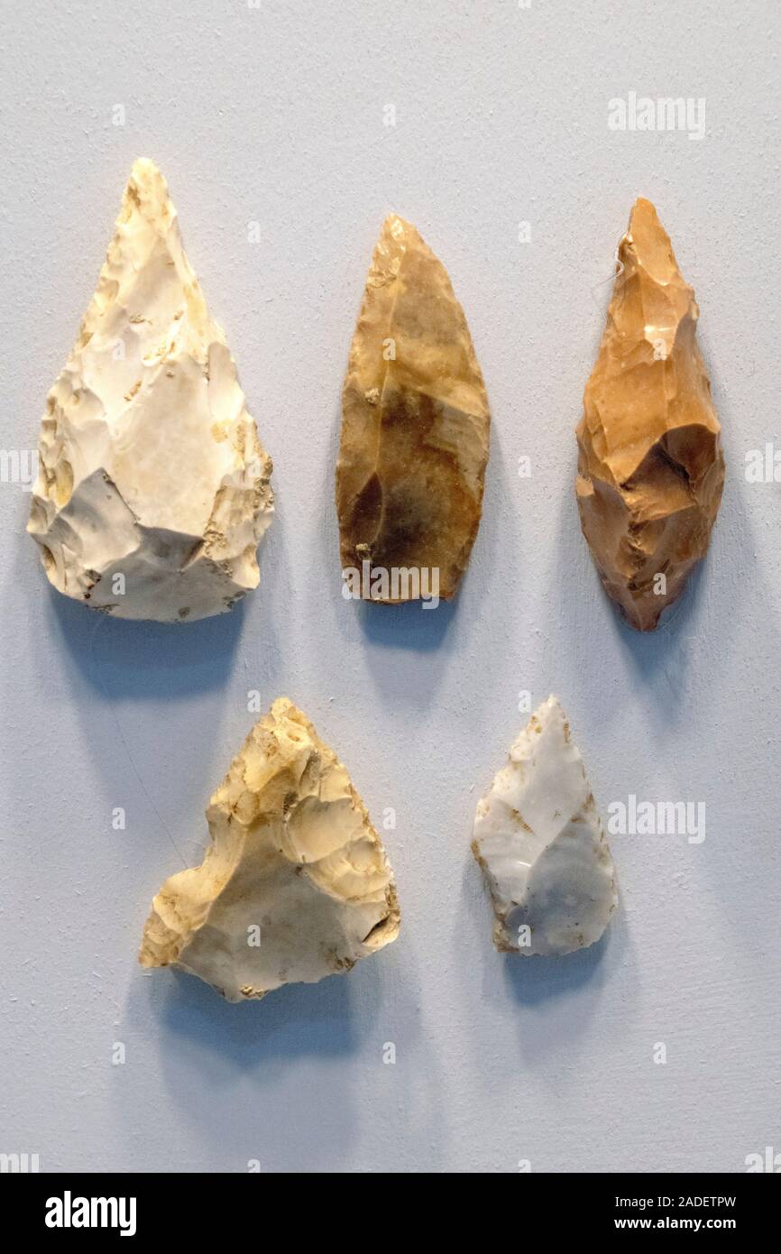 Neolithic spearheads made out of shaped flint. Found in southern Italy ...