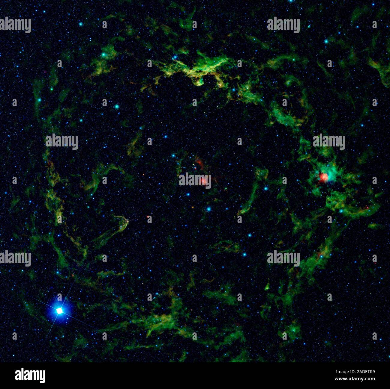 Infrared WISE (Wide-field Infrared Survey Explorer) image of the head ...