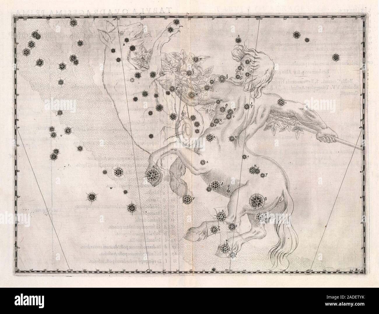 Centaurus constellation. 17th century illustration of the centaur (half-man, half-horse ...