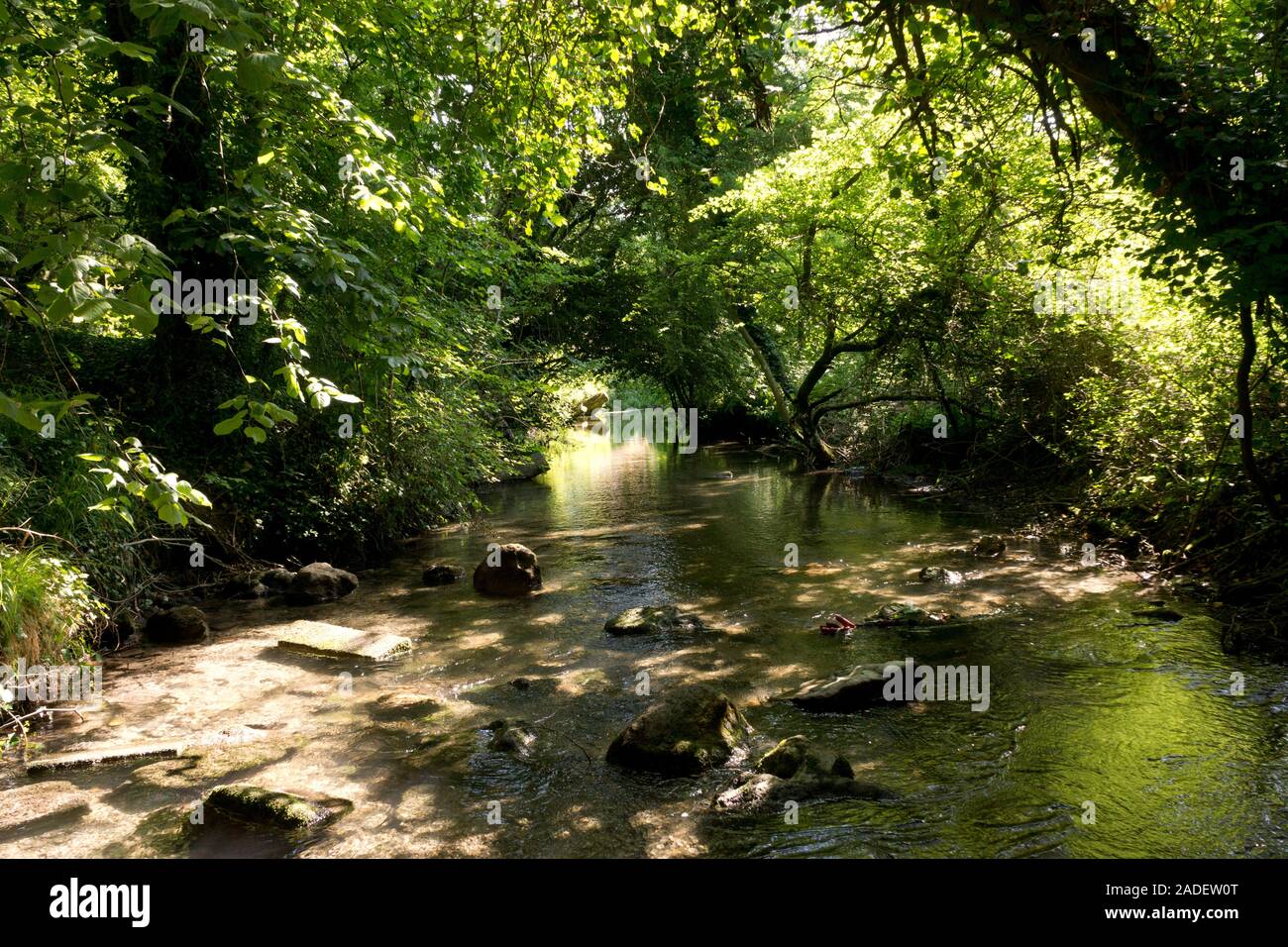 View of the Letcombe Brook chalk stream that rises from a spring at the ...