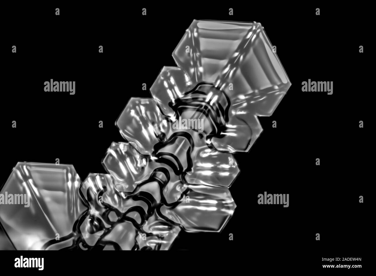 Ice crystals, light micrograph, grown under the light microscope at -45 ...