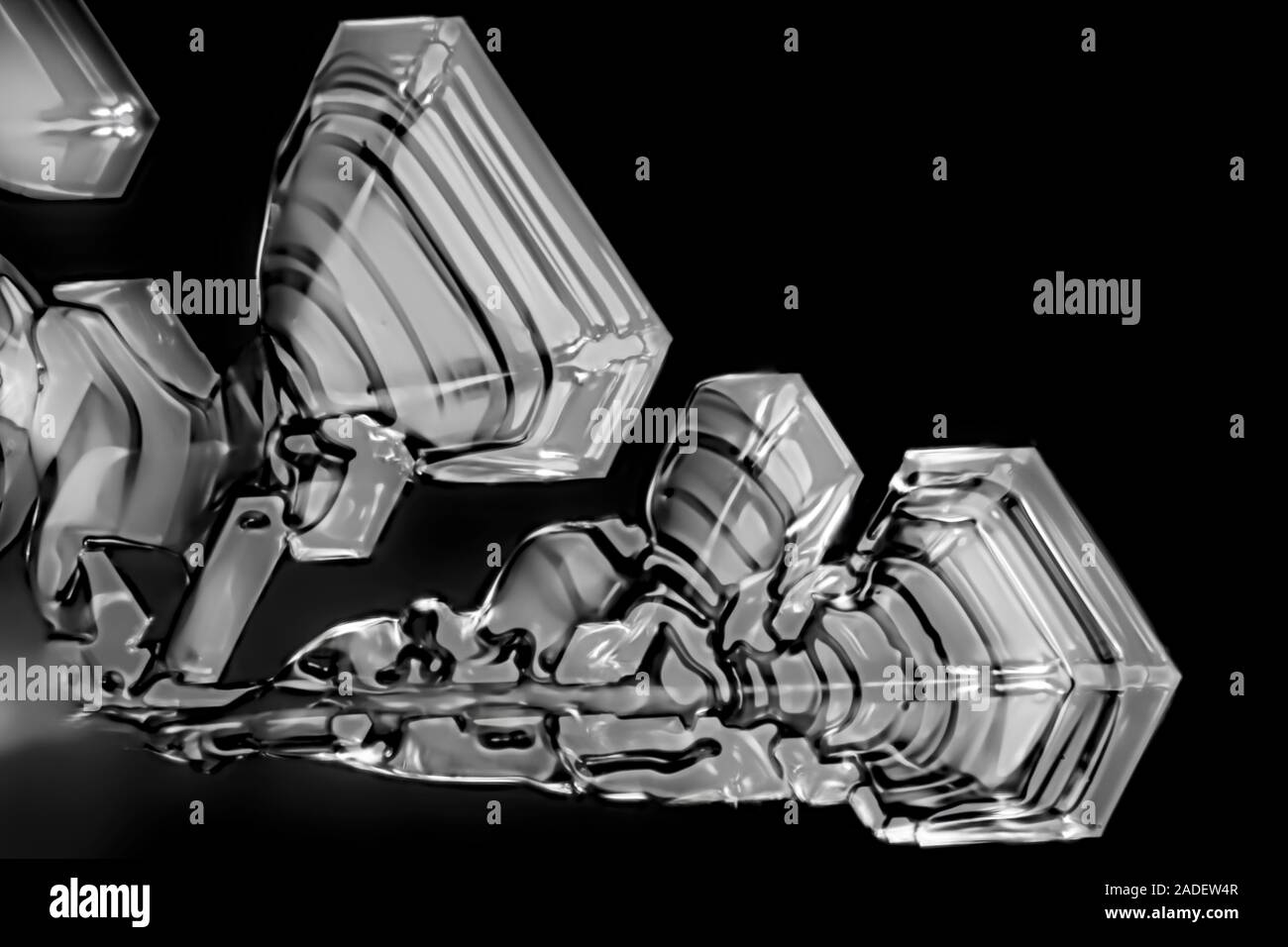 Ice crystals, light micrograph, grown under the light microscope at -45 ...