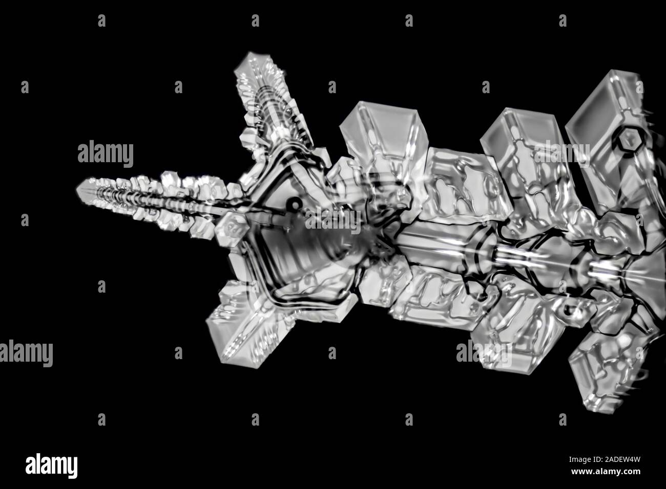Ice crystals, light micrograph, grown under the light microscope at -45 ...