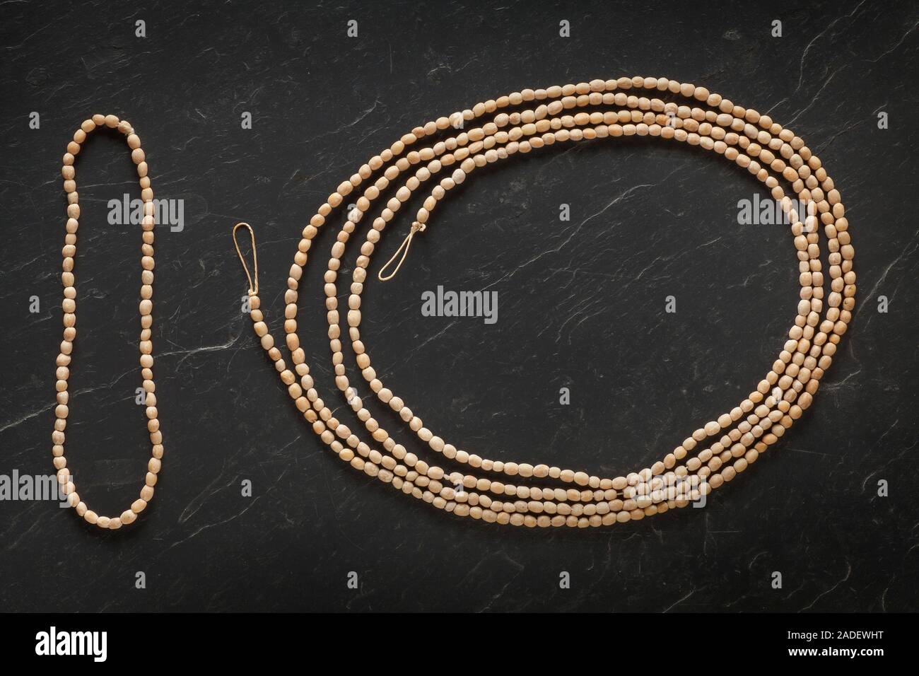 Native necklace made of fossil foraminifera (Alveolina) from Eocene ...