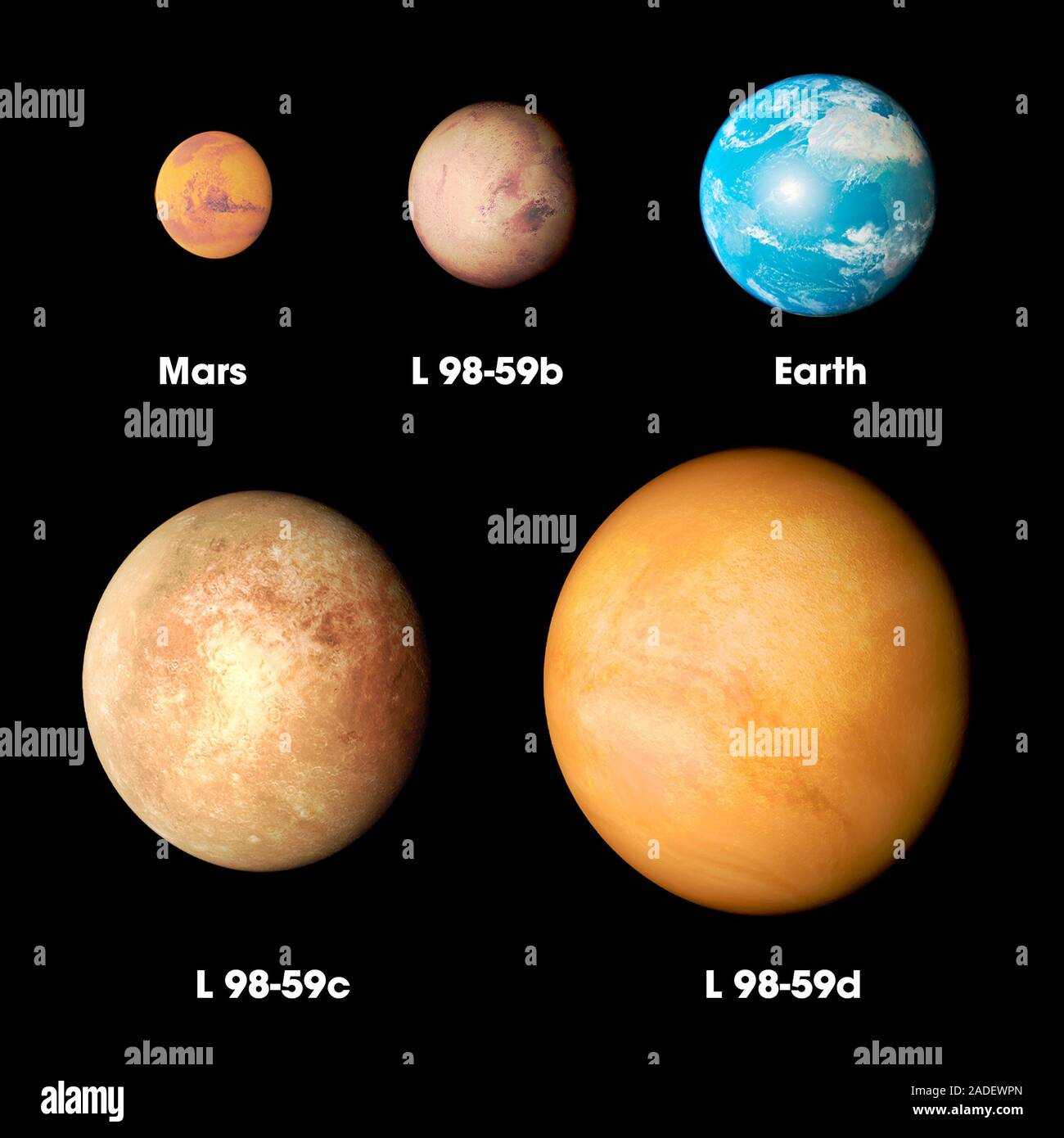 Size comparison of three exoplanets orbiting the M Dwarf star L 98-59 ...