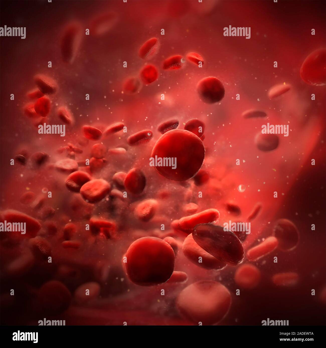 Red blood cells in vessels, illustration. Red blood cells are biconcave ...
