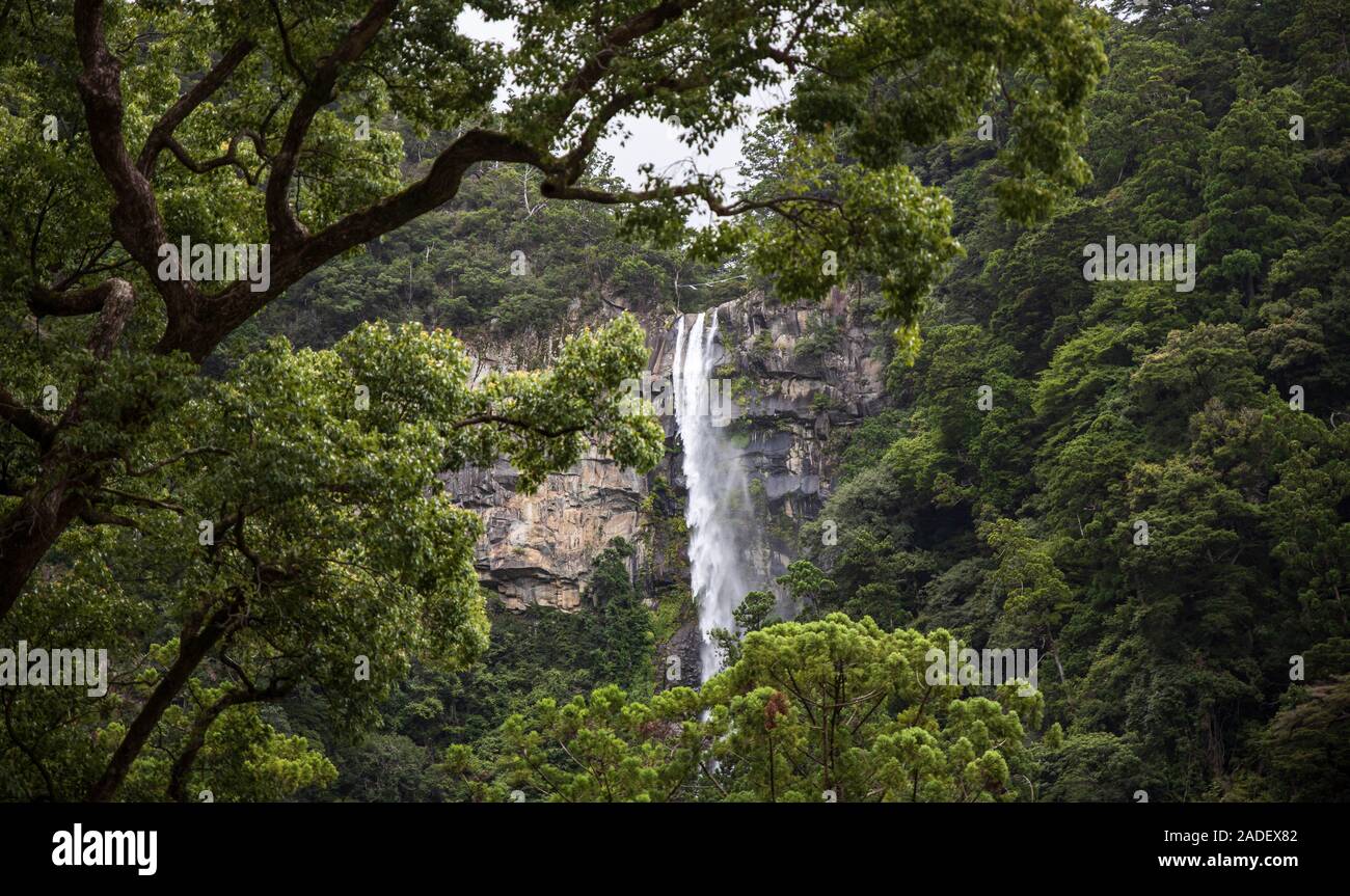 Tall waterfall on sheer cliff in lush green forest Stock Photo - Alamy