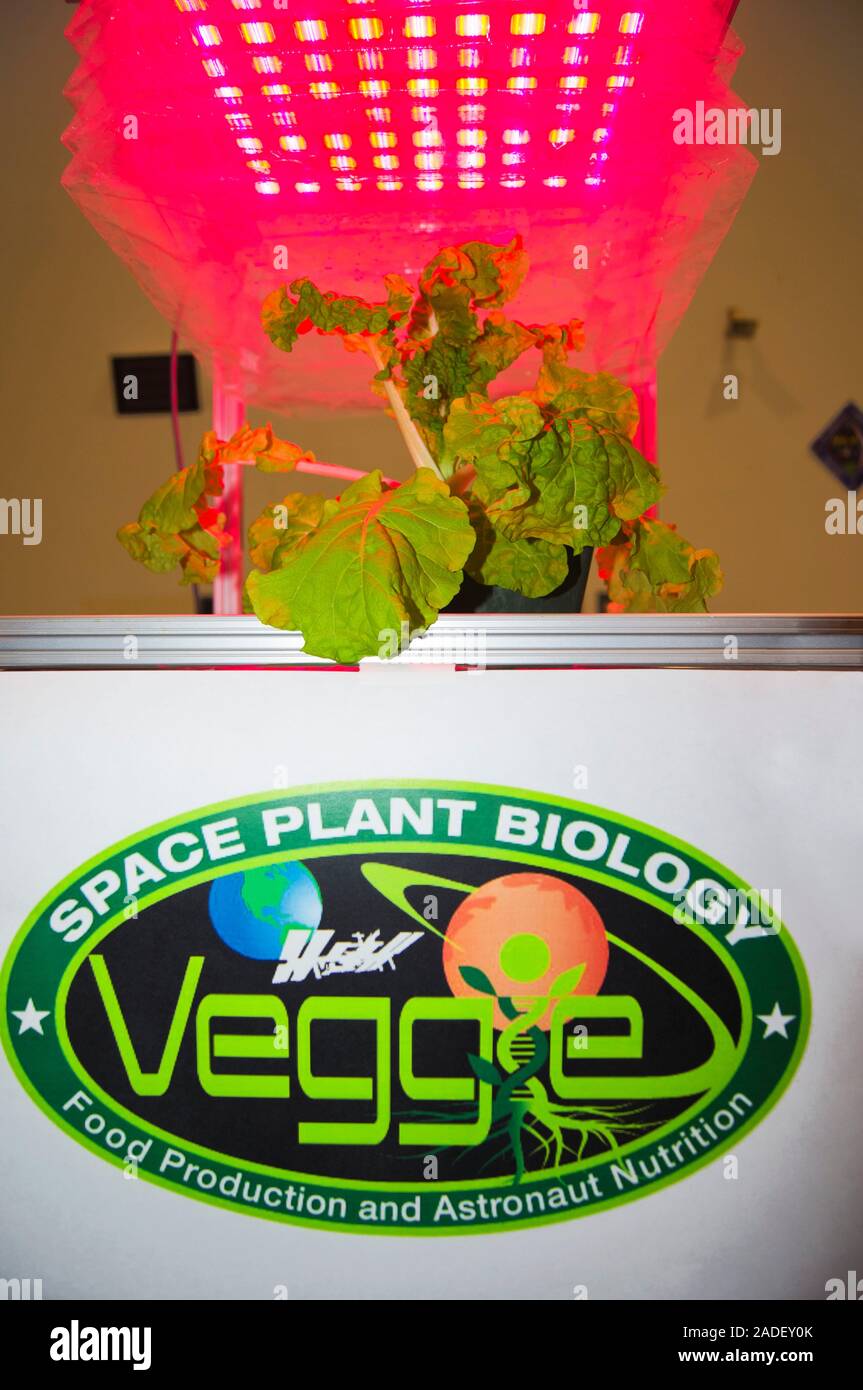 A space plant biology research system, known as the Vegetable ...