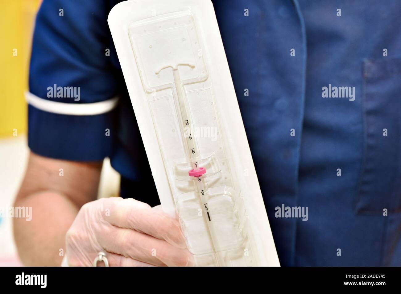 Contraceptive coil. Nurse holding a hormonal intrauterine device (IUD ...