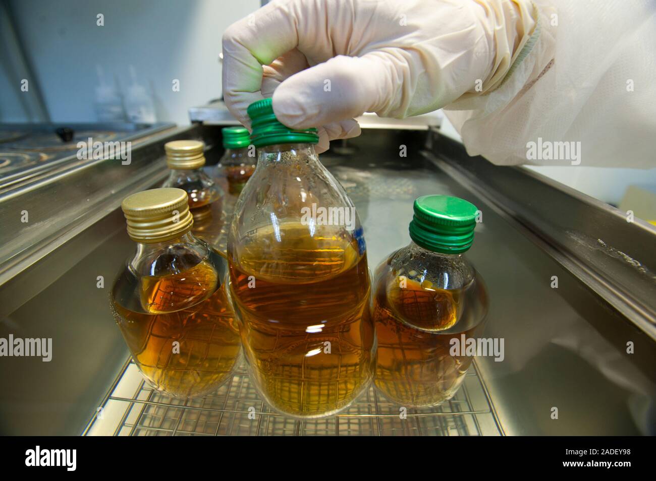 Pharmaceutical research. Researcher placing chemicals in a water bath ...