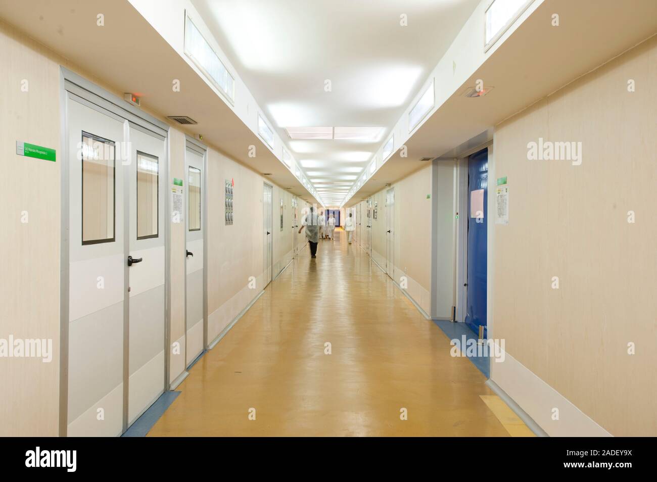 Pharmaceutical research. Researchers walking in a corridor at a ...