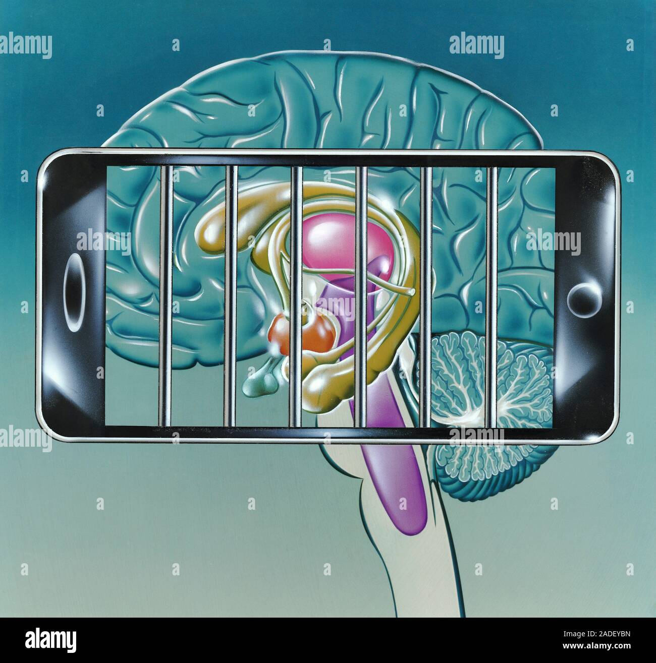 Mobile phones and addiction, conceptual image. The limbic system of the ...
