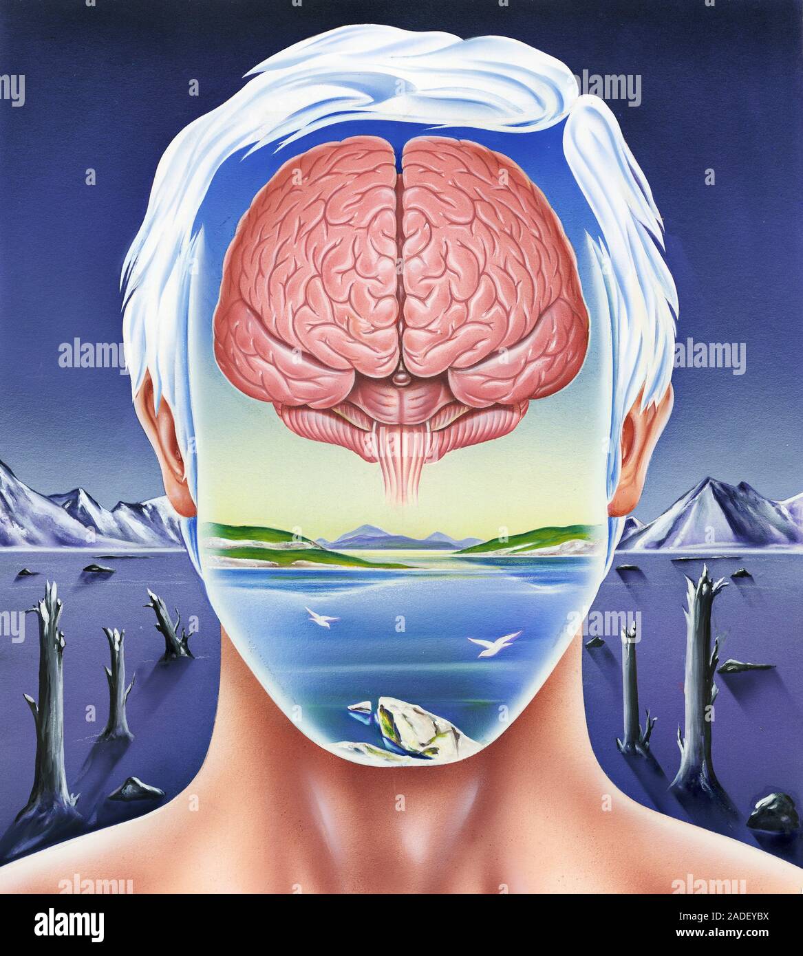 Depression. Conceptual artwork of a barren landscape surrounding the ...