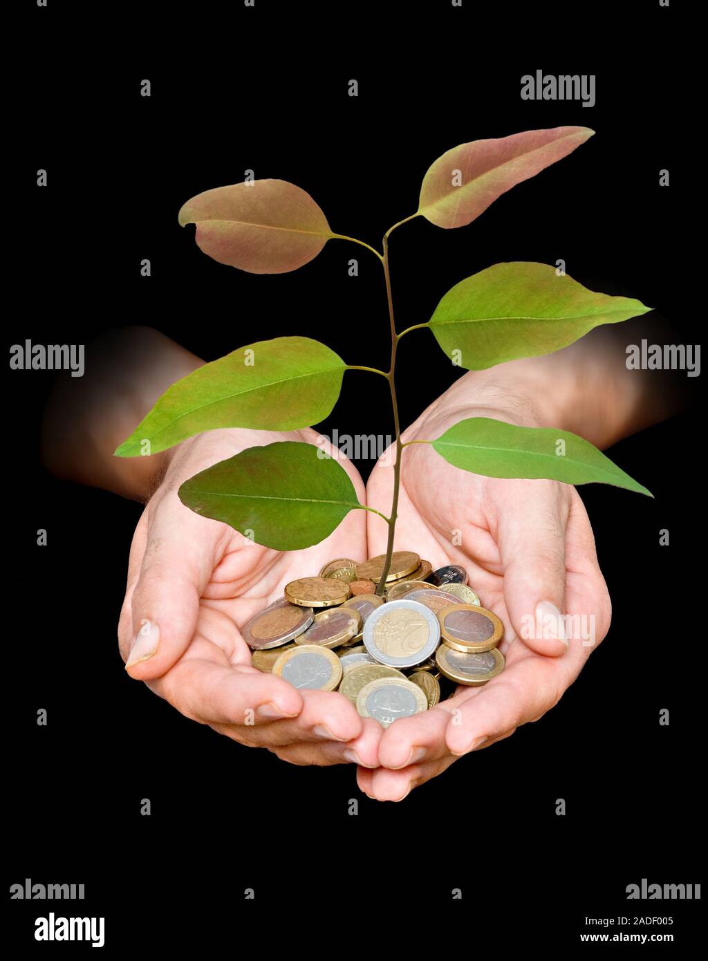 Hand with tree growing from pile of coins Stock Photo - Alamy