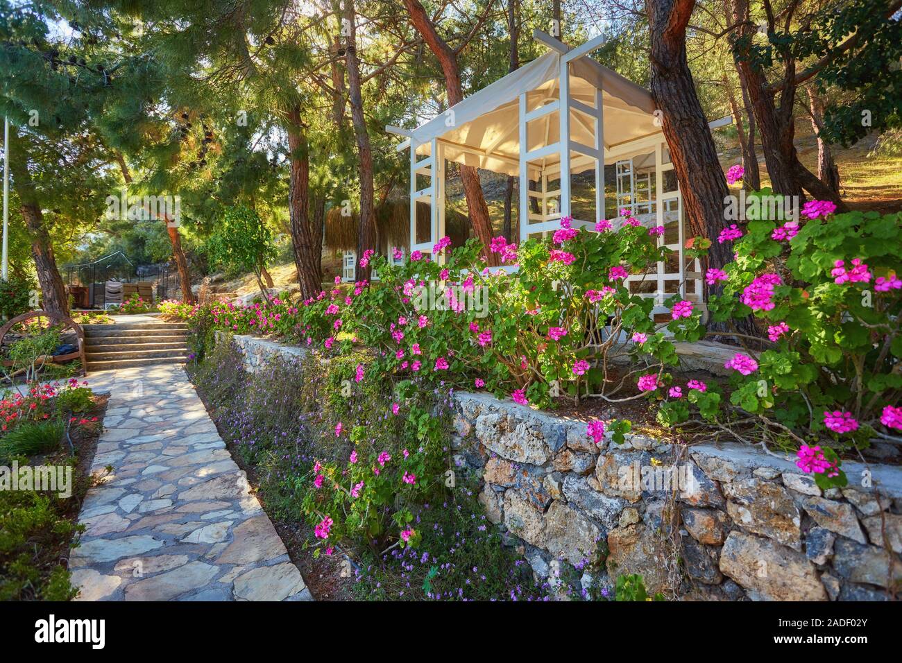 Beautiful footpath in the garden. The walk way with camber colorful ...