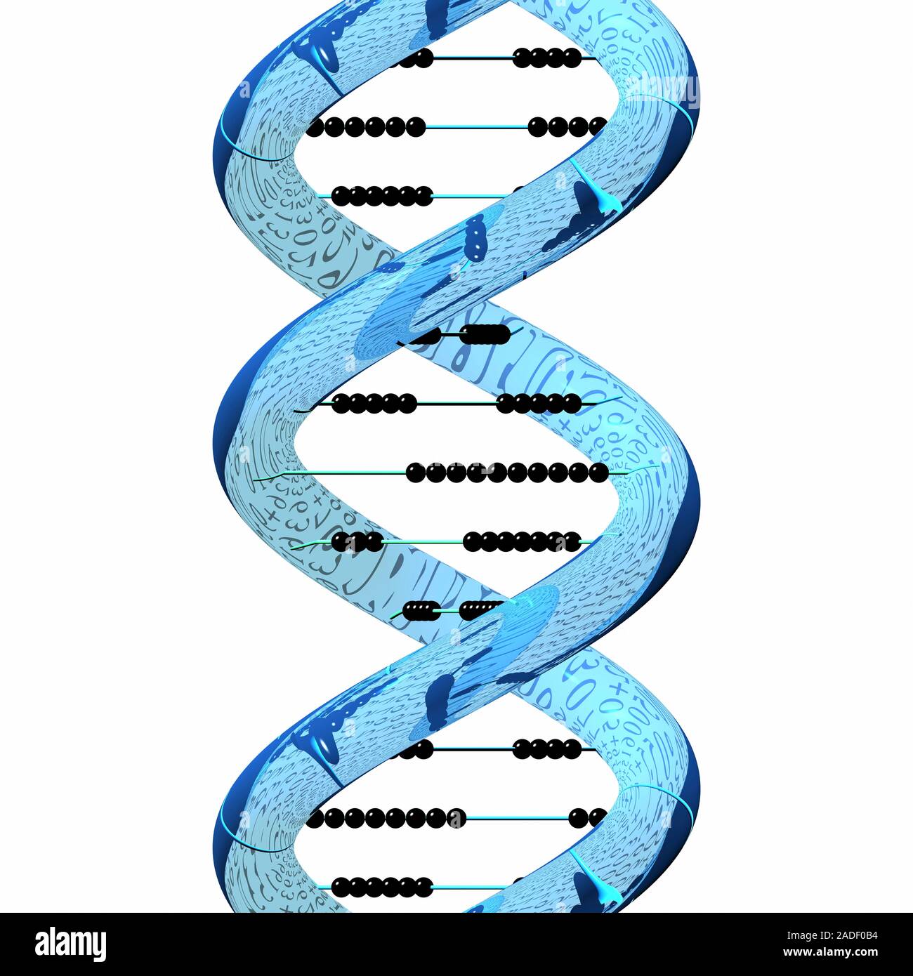 This image may not be used in educational posters Genetics and ...