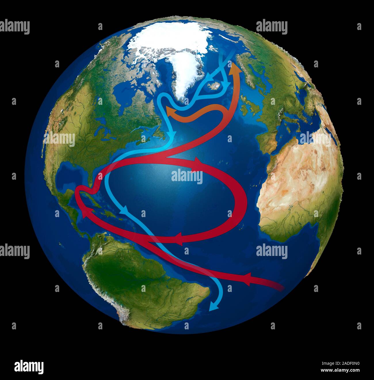 Atlantic Ocean currents, illustration. The currents are the Gulf Stream ...