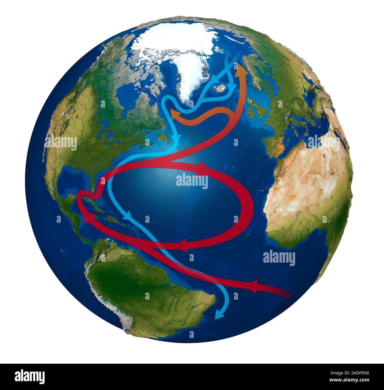 Atlantic Ocean currents, illustration. The currents are the Gulf Stream ...