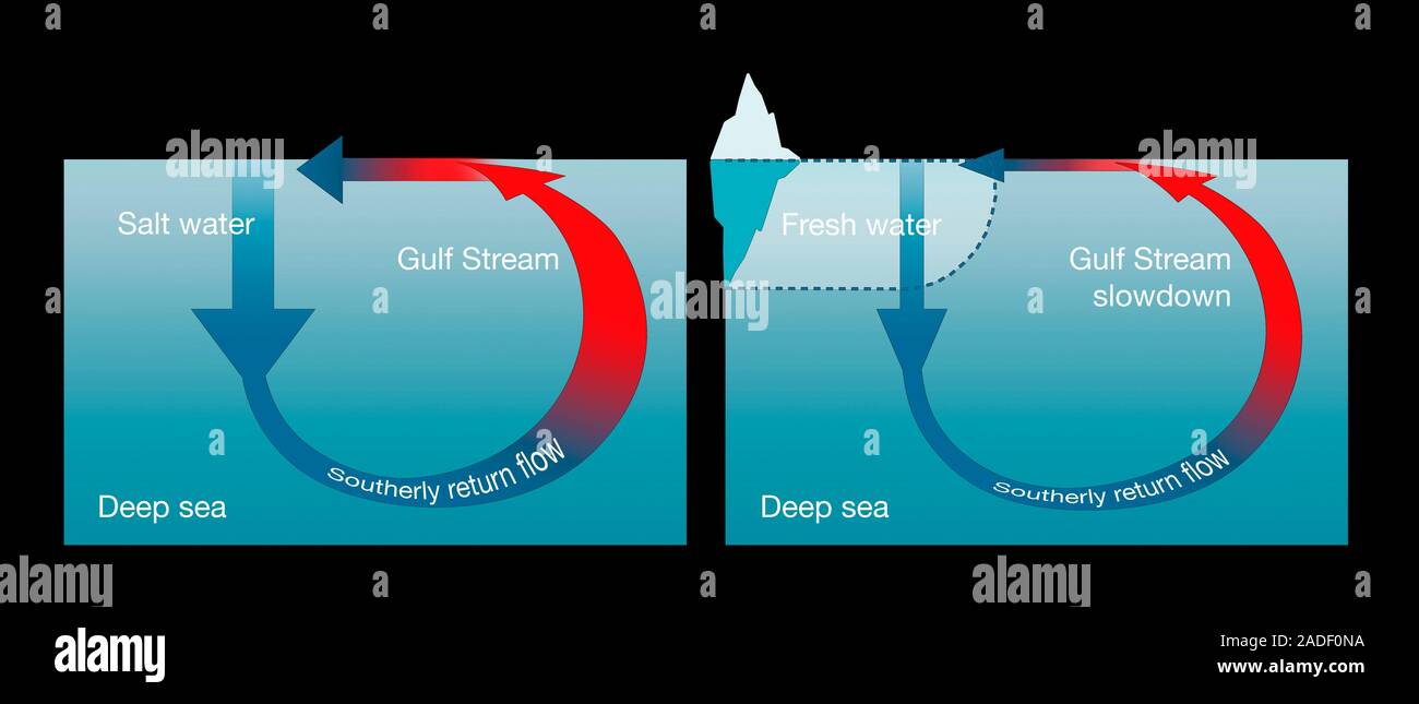 Gulf Stream disruption, illustration. The Gulf stream and its ...