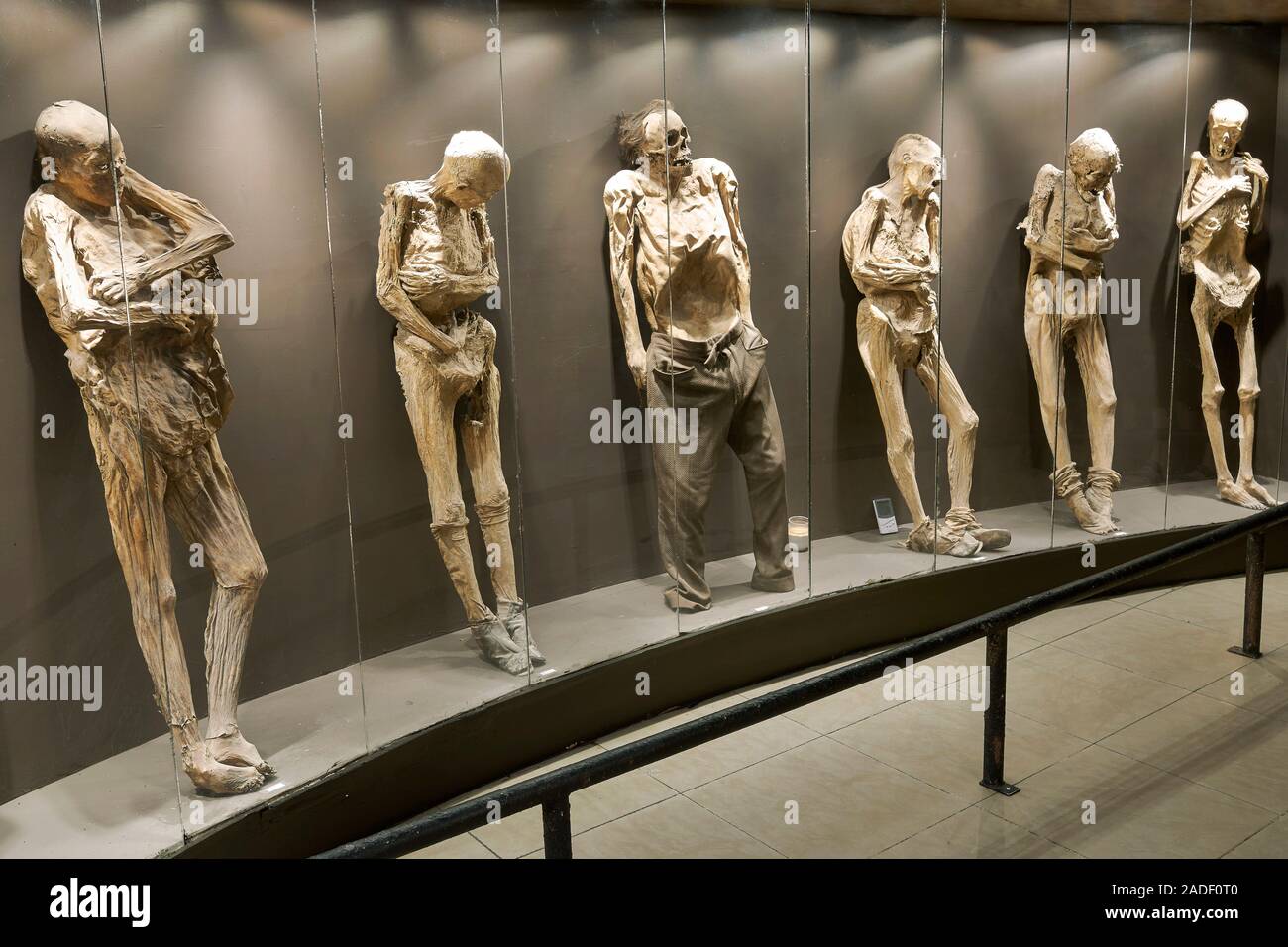 Guanajuato mummies. These naturally mummified body were buried, along ...