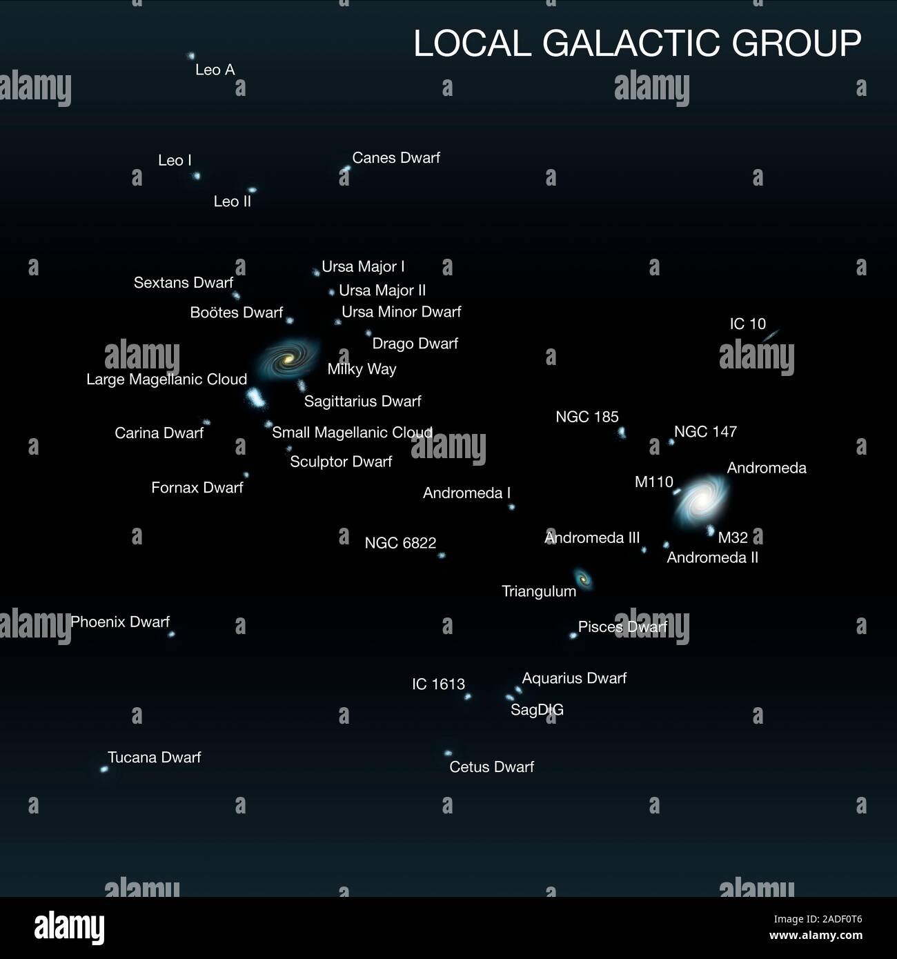 Milky Way's location in the Local Group, illustration. Image 5 of 8 ...