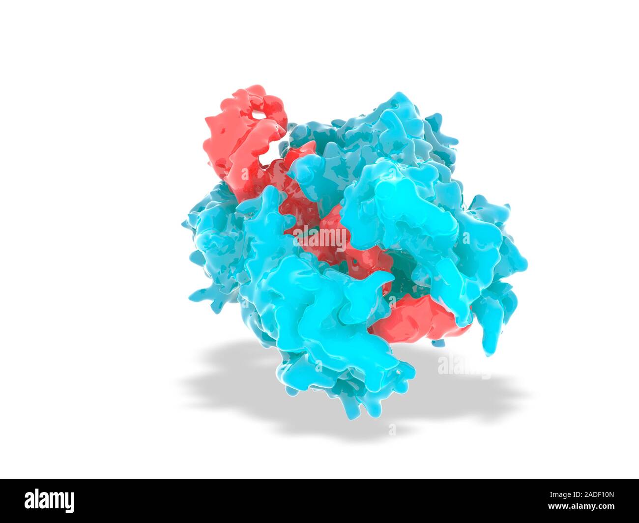 CRISPR-Cas13 gene editing complex, molecular structure. The CRISPR ...