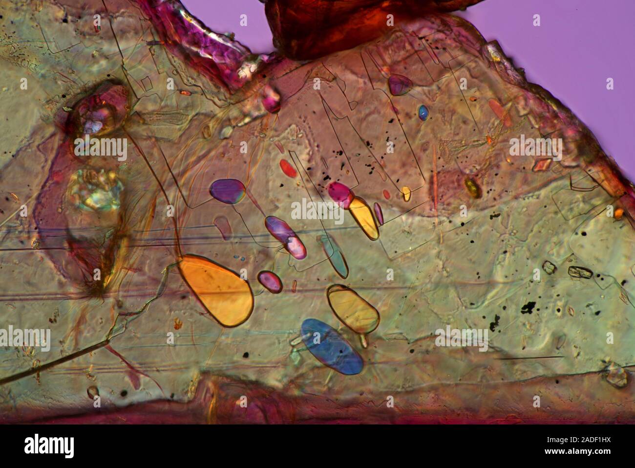 Sand grain. Polarised light micrograph of a section through a grain of ...