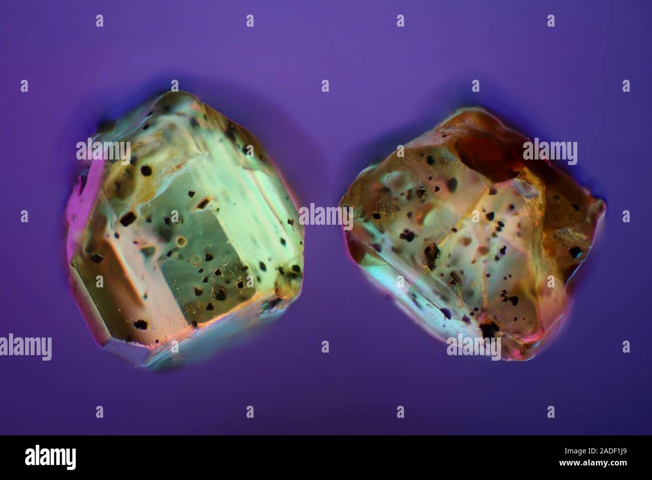 Sand grains. Polarised light micrograph of a section through grains of ...