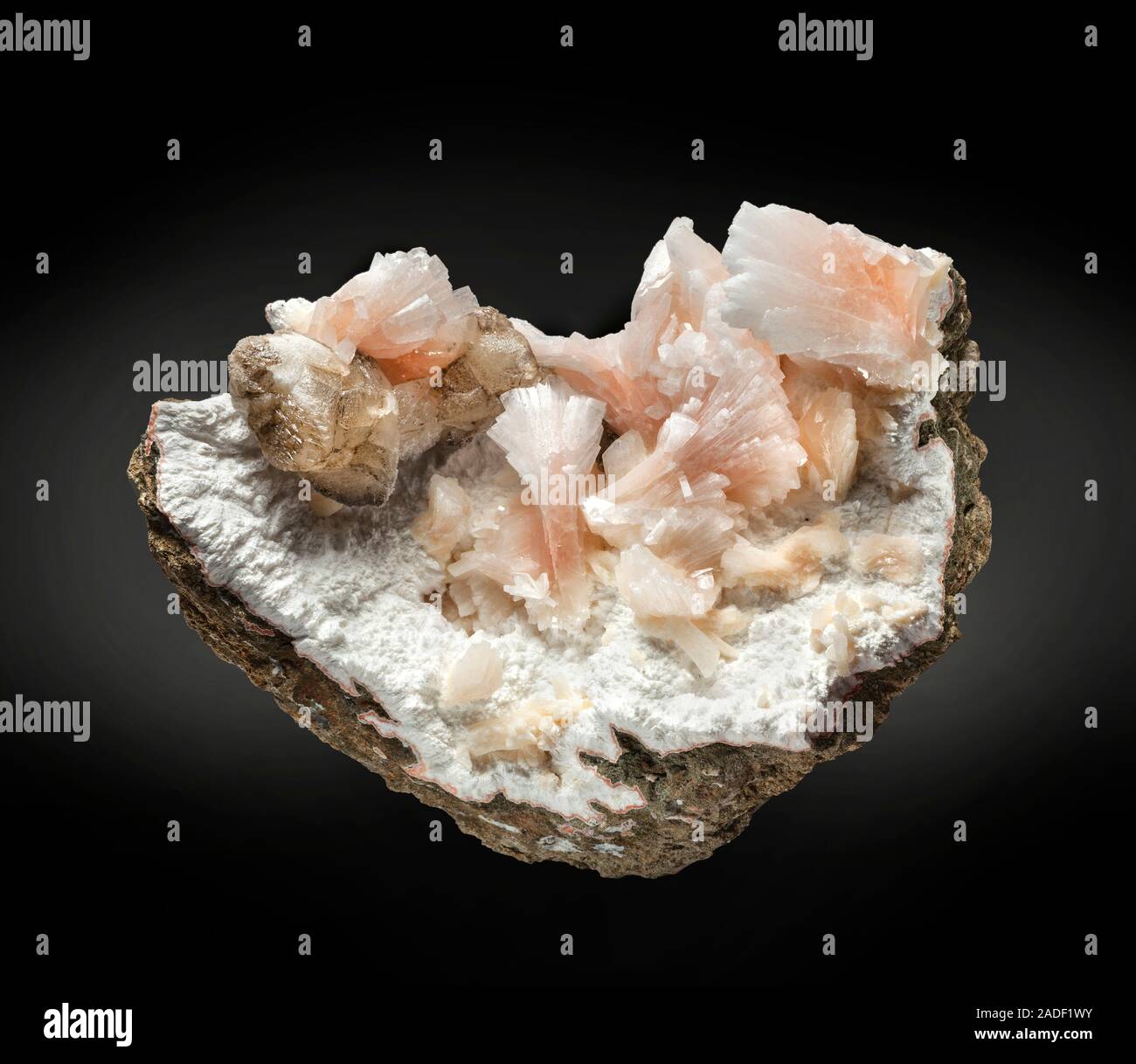 Heulandite in sheaves of salmon-pink crystals on white mordenite. This ...