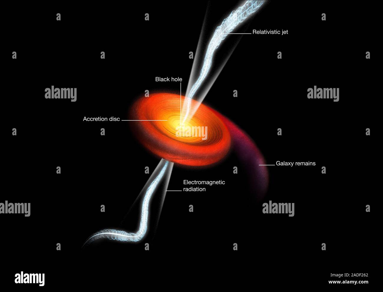 Black hole galaxy, illustration. Galaxies with a supermassive black ...
