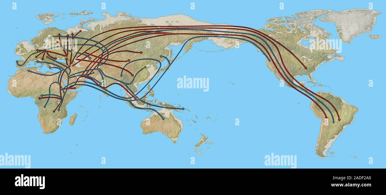 Human genetic lineages, world map. Many human populations carry genetic ...