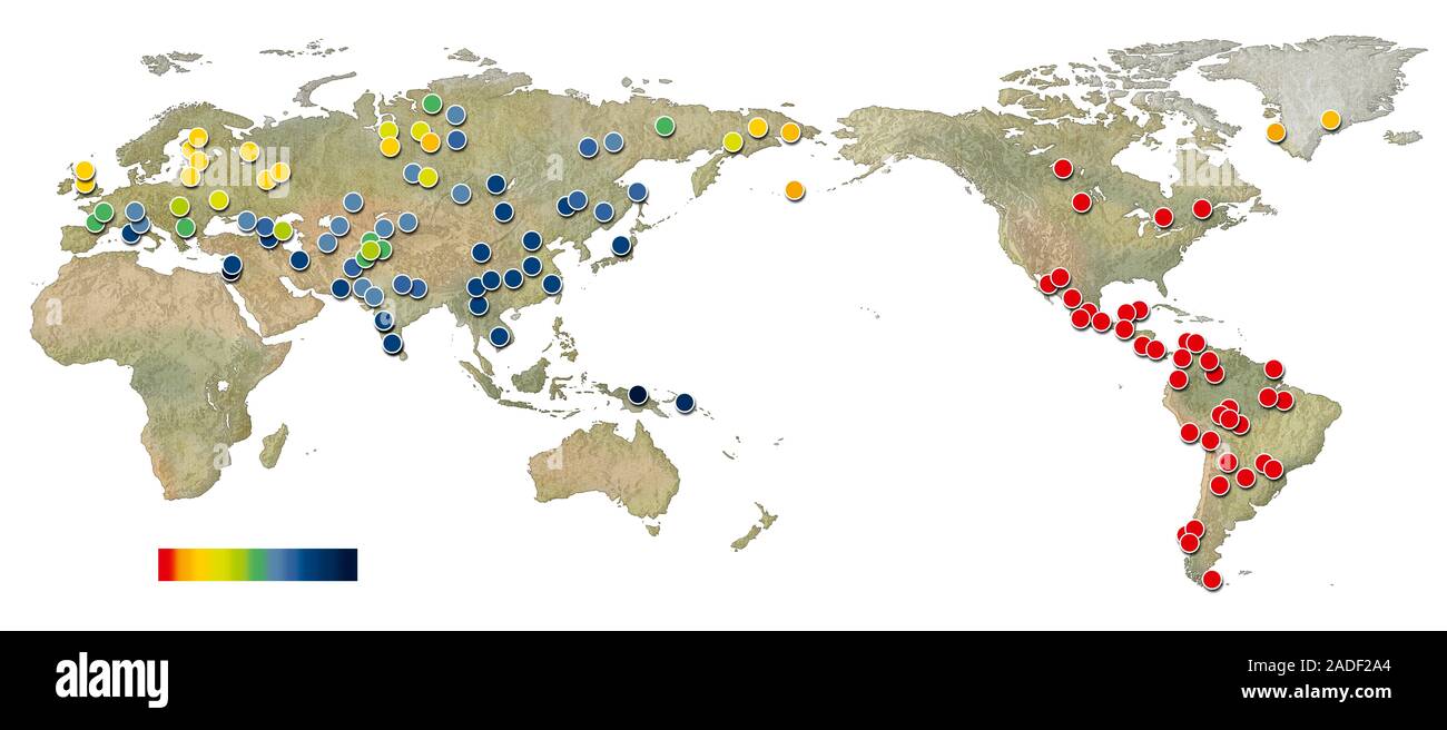 Mal'ta genetic lineage, world map. Many human populations carry genetic ...