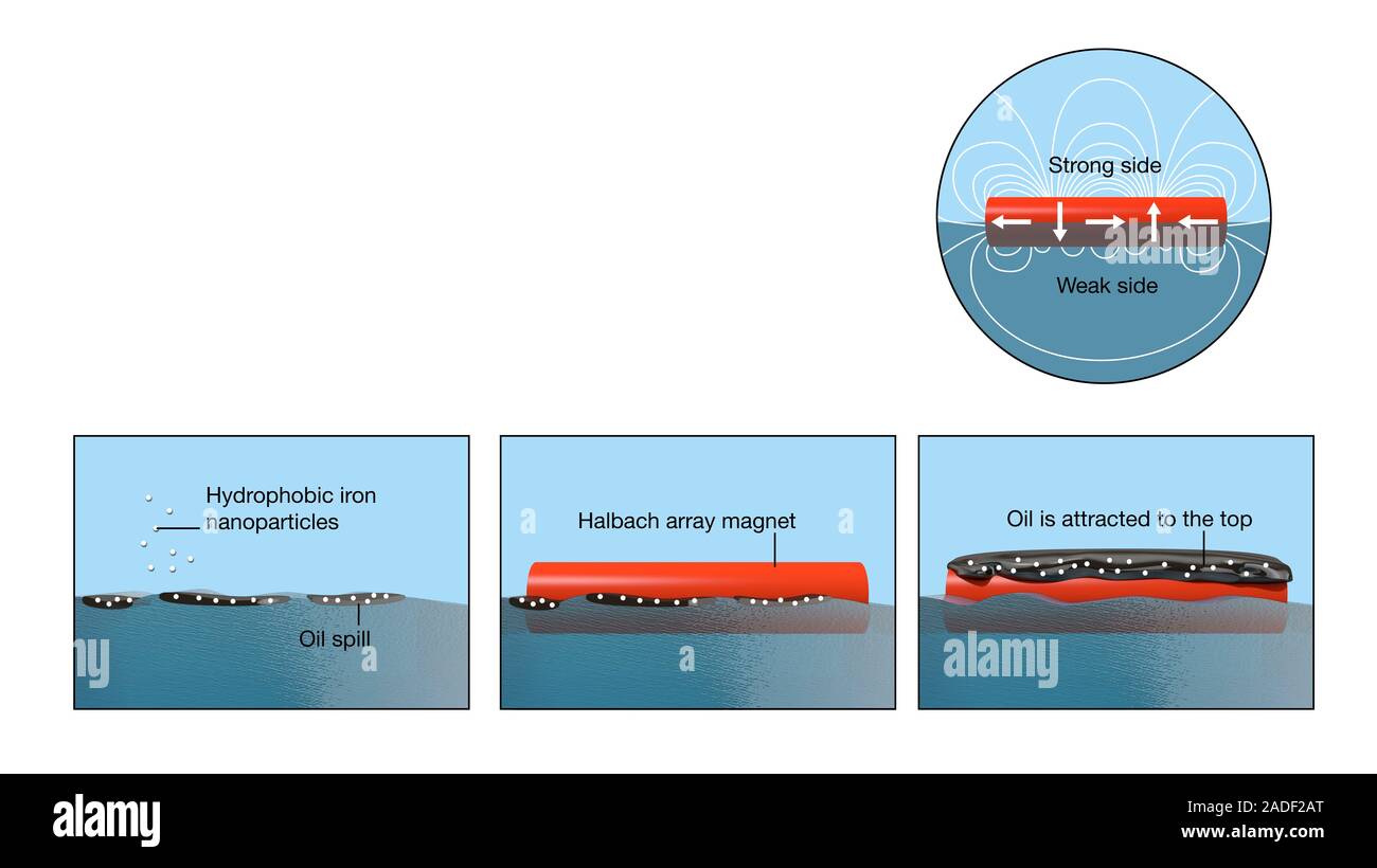 Halbach array oil spill cleaning system, illustration. This system uses ...