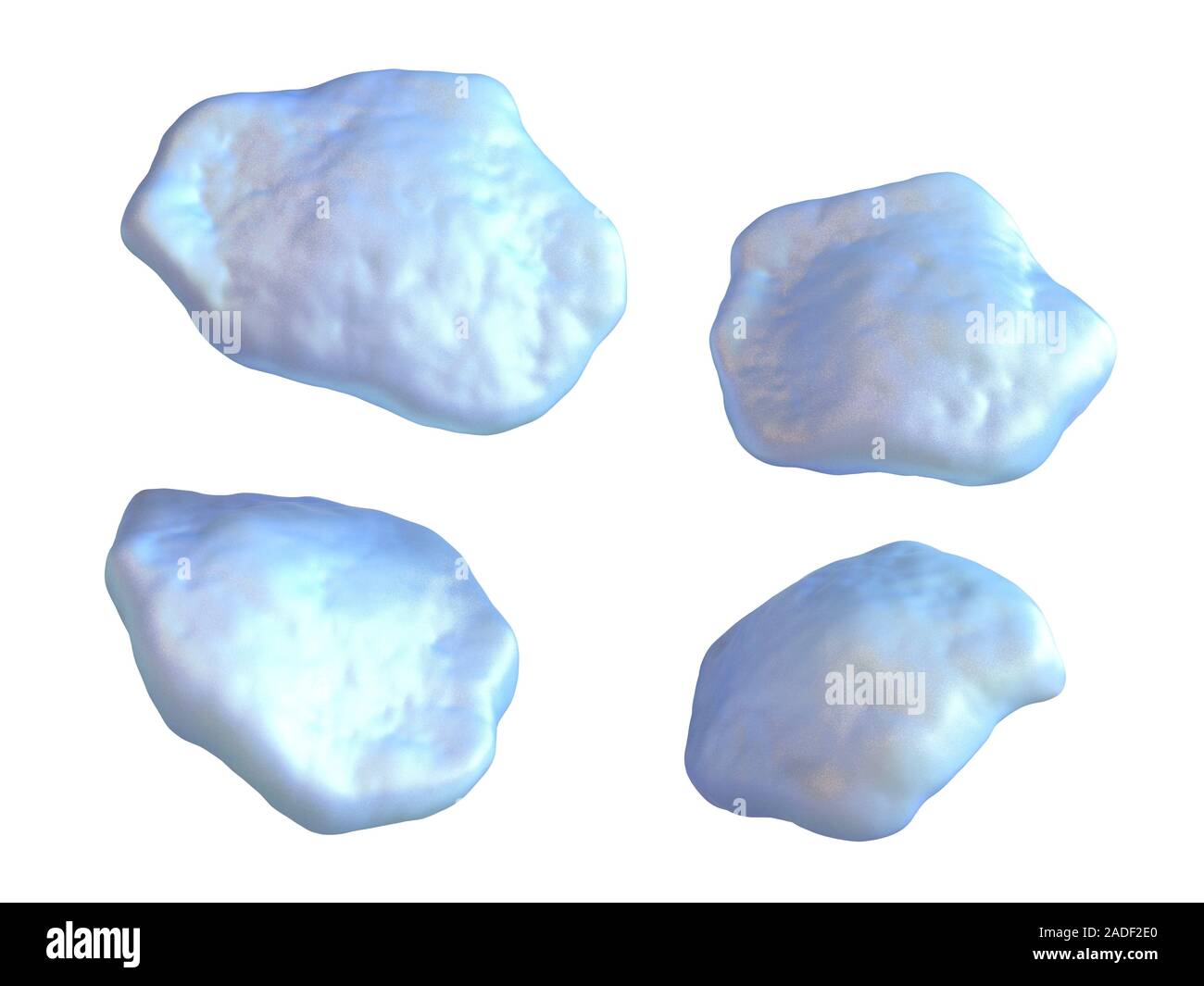 Non-activated platelets. Illustration of platelets (thrombocytes) that ...